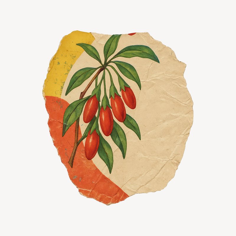 Old+fruit Torn Paper PNG Images | Free Photos, PNG Stickers, Wallpapers ...