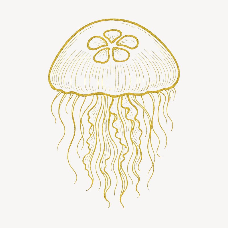 Moon Overlay Shadow Color Design Images | Free Photos, PNG Stickers ...