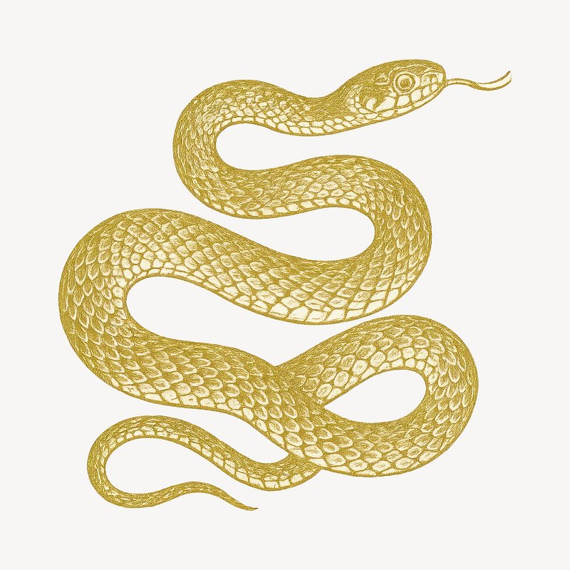 Scale Drawing Transparent Design Realistic Images | Free Photos, PNG ...