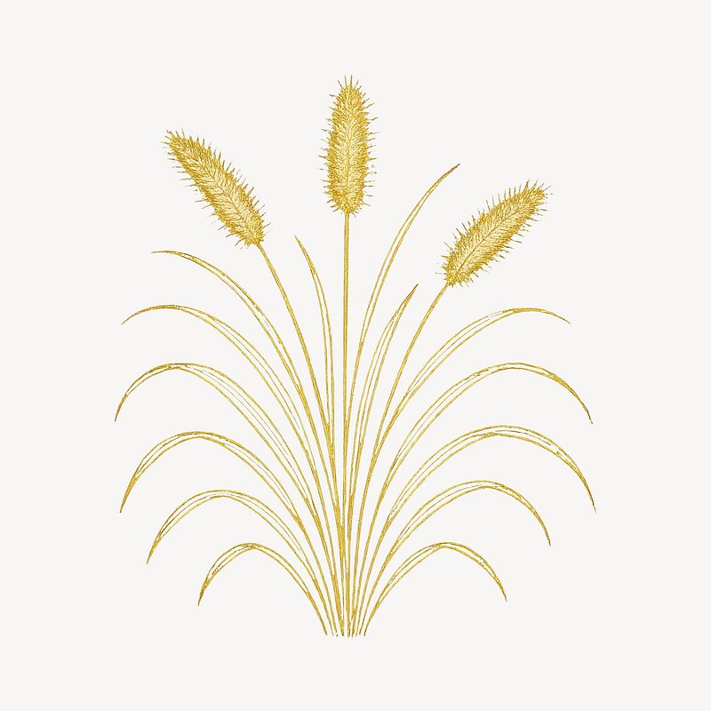 Wall+stamp PNG Images | Free Photos, PNG Stickers, Wallpapers ...