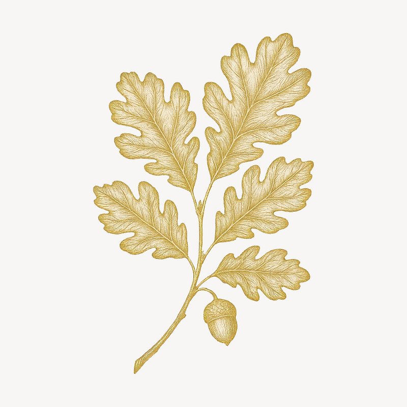 Leaves Stamp Shadow Images | Free Photos, PNG Stickers, Wallpapers ...