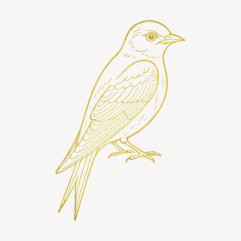 Purple Overlay Shadow Design Transparent Images | Free Photos, PNG ...