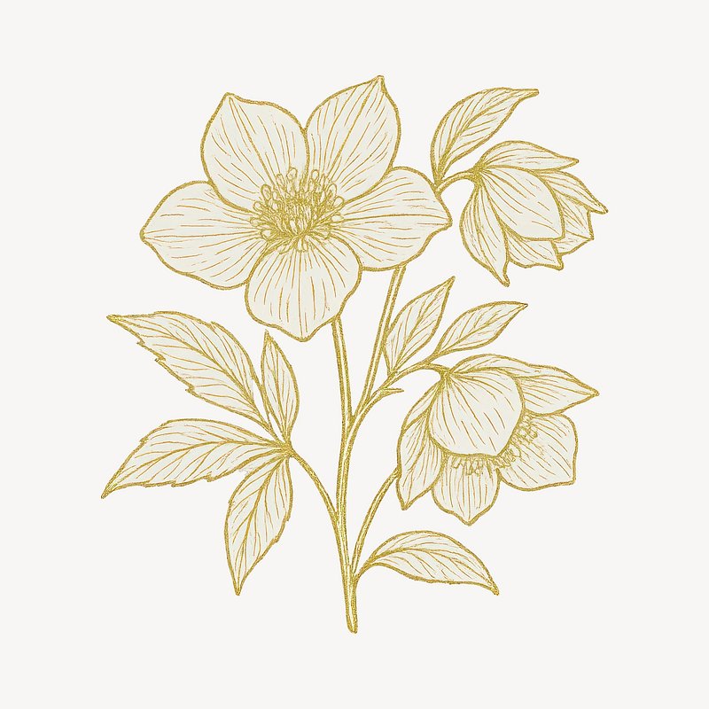 Rose+background+stamp PNG Images | Free Photos, PNG Stickers ...