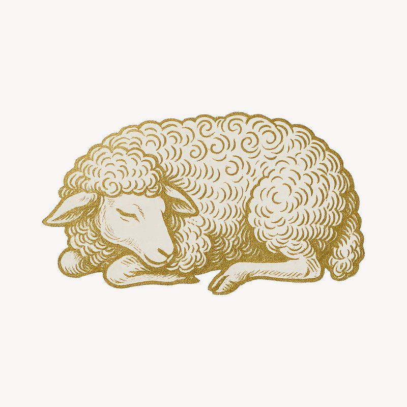 Sleeping+sheep Shadow Images | Free Photos, PNG Stickers, Wallpapers ...