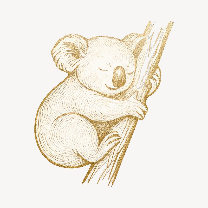 Sleeping+in+hot Background Images | Free Photos, PNG Stickers ...