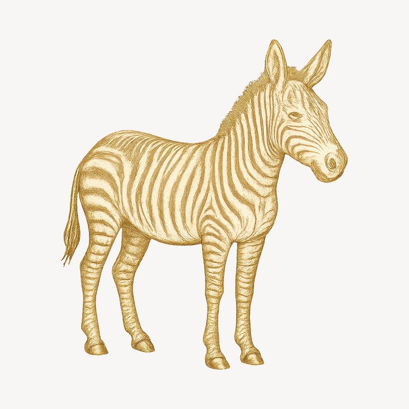 Zebra+drawing Texture Images | Free Photos, PNG Stickers, Wallpapers ...
