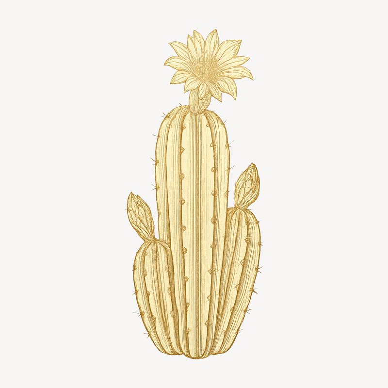 Apple Package Background Images | Free Photos, PNG Stickers, Wallpapers ...