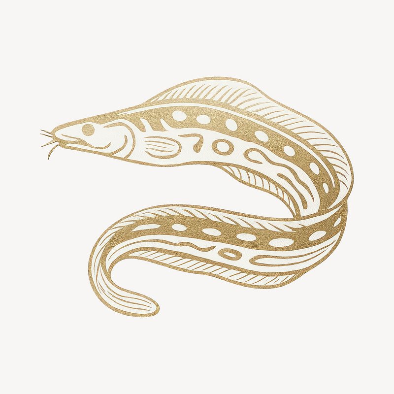 Fire Fish PNG Images | Free Photos, PNG Stickers, Wallpapers ...