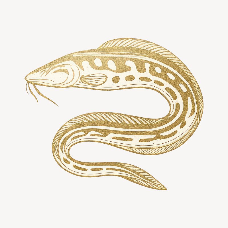 Fire Fish Transparent Images | Free Photos, PNG Stickers, Wallpapers ...