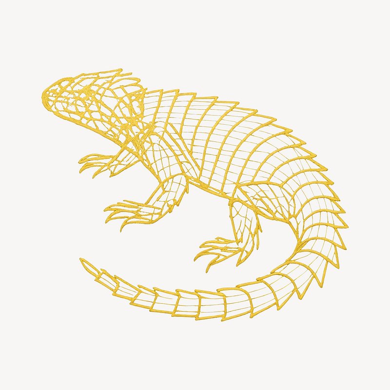 Wireframe+objects Background Images | Free Photos, PNG Stickers ...