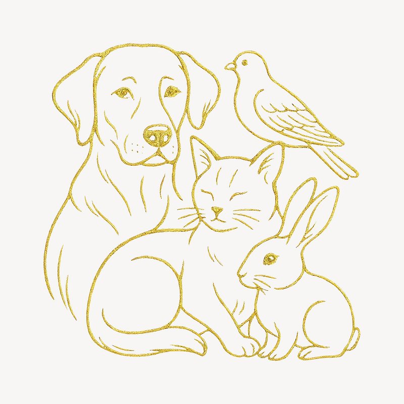 Pets Bird JPG Animal Dog Images | Free Photos, PNG Stickers, Wallpapers ...