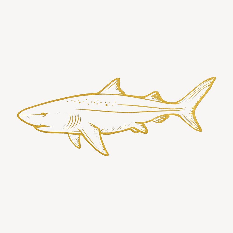 Hand Drawn Shark Transparent Fish Images | Free Photos, PNG Stickers ...