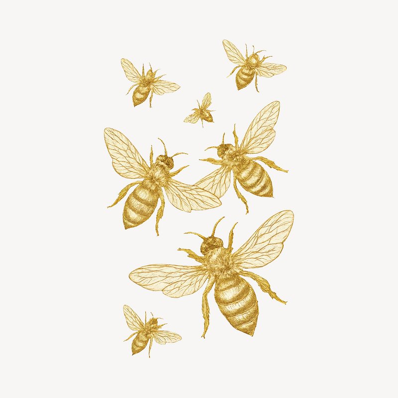 Bee Collection Art Images | Free Photos, PNG Stickers, Wallpapers ...
