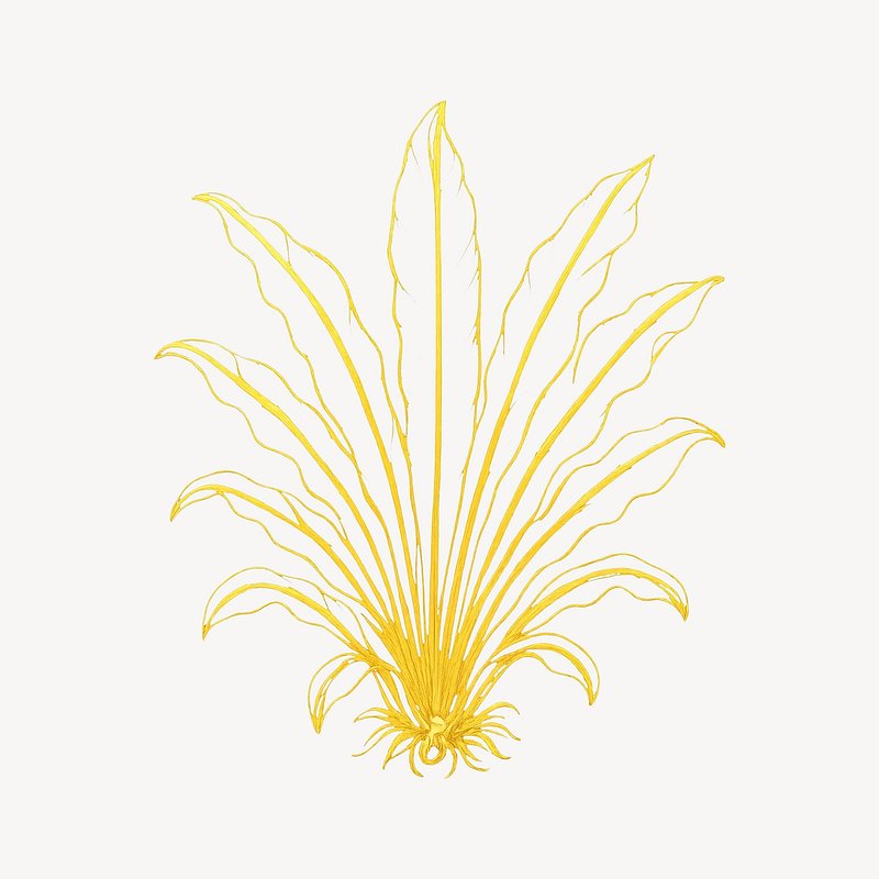 Bird+sketch+realistic+with+colour PNG Images | Free Photos, PNG ...