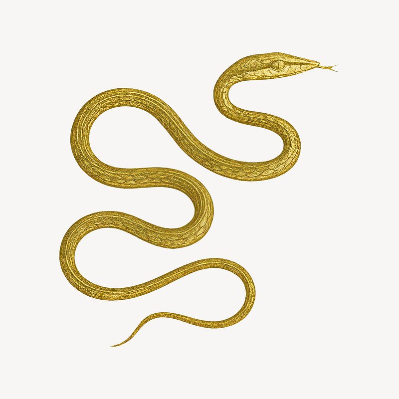 Snake Stamp Shadow Images | Free Photos, PNG Stickers, Wallpapers ...