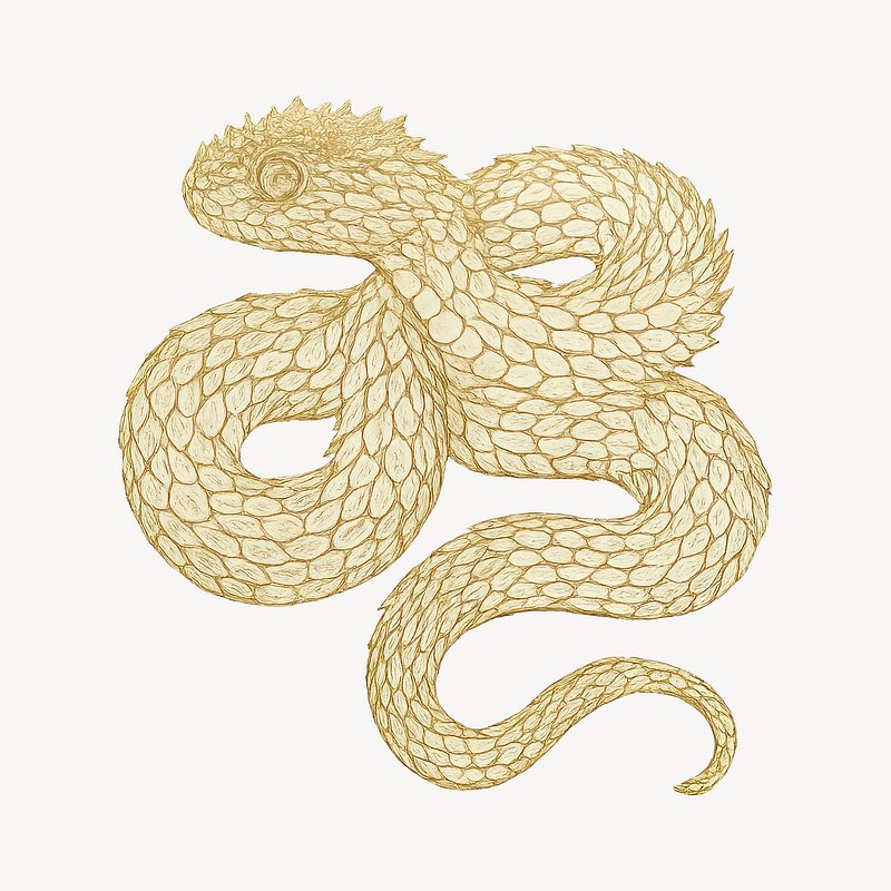 Serpent+hand Snake Images | Free Photos, PNG Stickers, Wallpapers ...