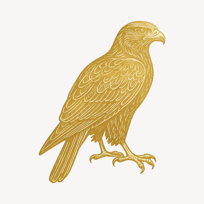Falcon+bird Vintage Images | Free Photos, PNG Stickers, Wallpapers ...