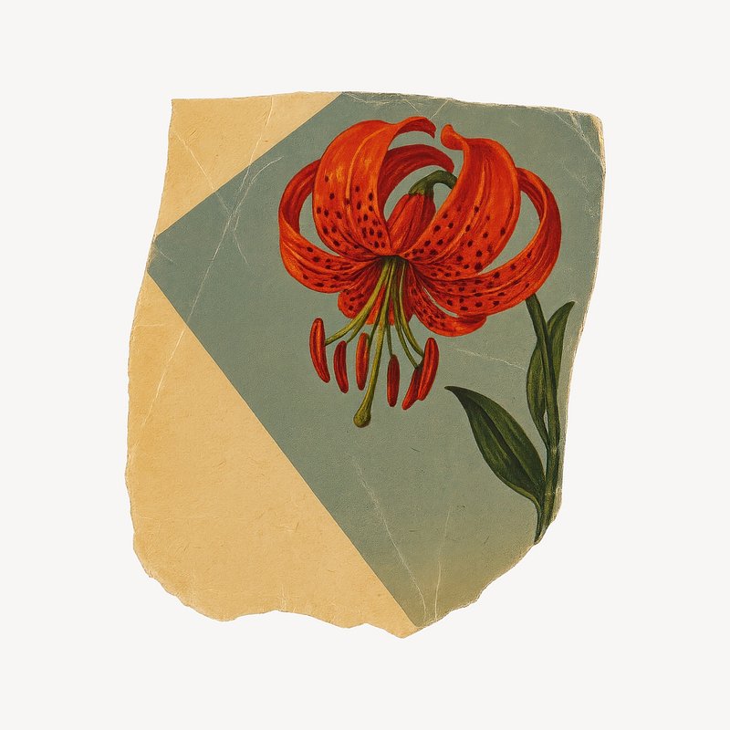 Cap Retro Shadow Art Design Aesthetic Images | Free Photos, PNG ...