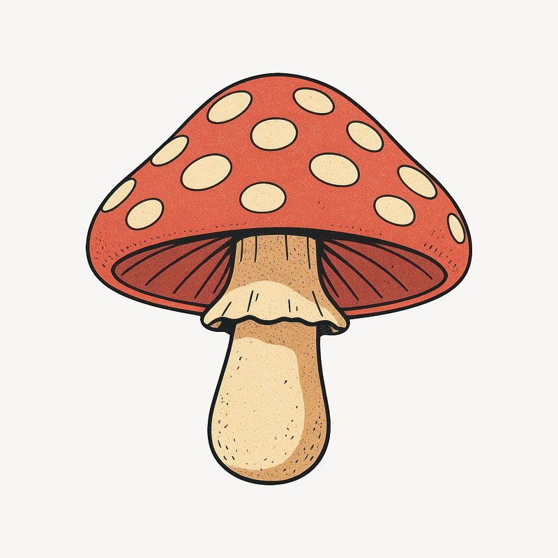 Mushroom+design Vintage Images | Free Photos, PNG Stickers, Wallpapers ...