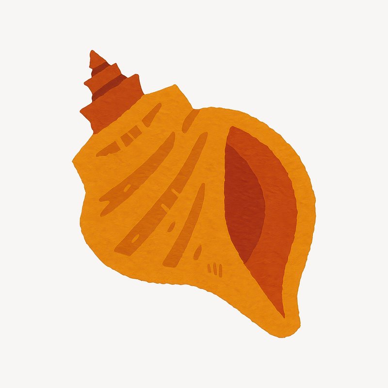 Cutting Orange Collage Images | Free Photos, PNG Stickers, Wallpapers ...