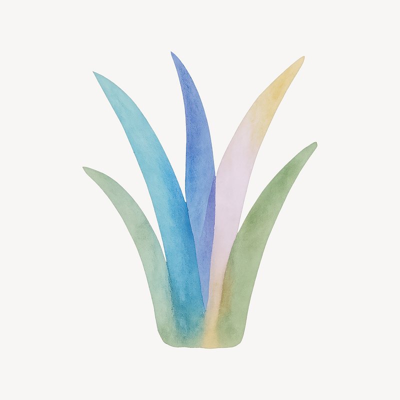 Colorful Watercolor Pattern Graphic Images | Free Photos, PNG Stickers ...