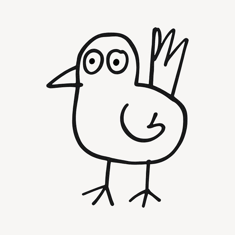 White Pigeon Shadow Images | Free Photos, PNG Stickers, Wallpapers ...