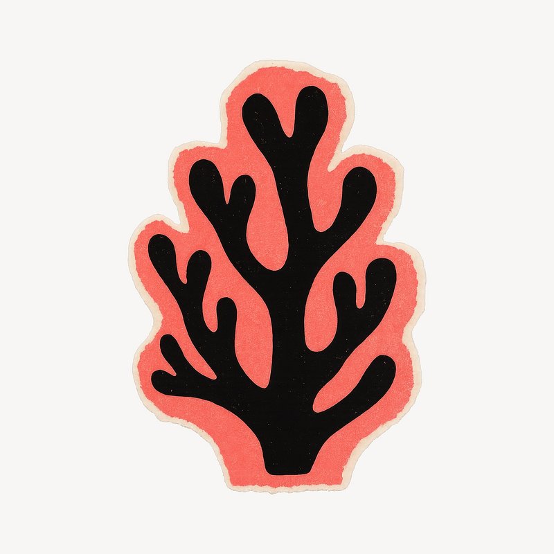 Coral+border Isolated Images | Free Photos, PNG Stickers, Wallpapers ...