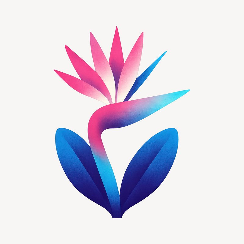 Paradise Birds Nature Images | Free Photos, PNG Stickers, Wallpapers ...