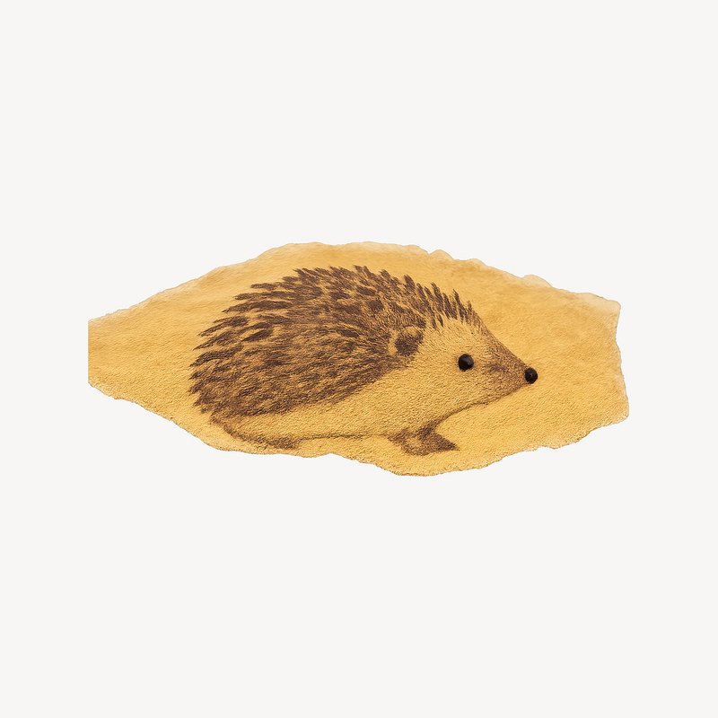 Small+sketches Background Grid Images | Free Photos, PNG Stickers ...