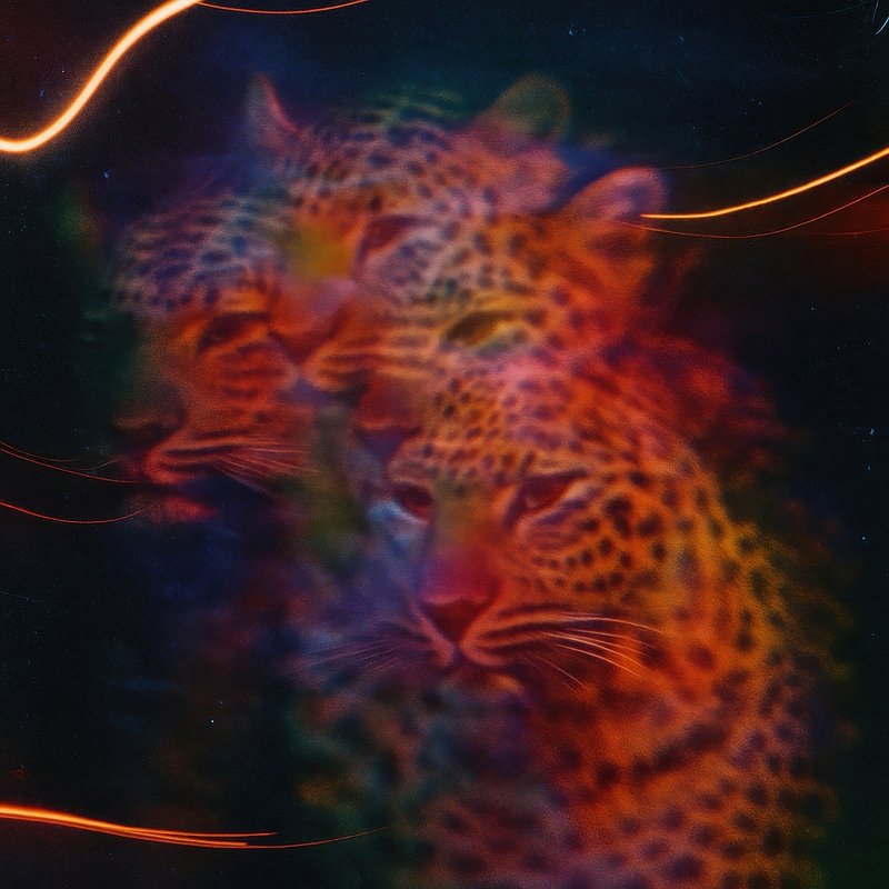 Neon Leopard Images | Free Photos, PNG Stickers, Wallpapers ...