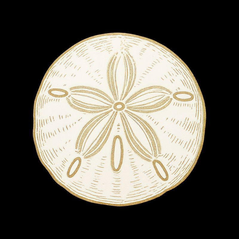 Beach+logo+png Ocean Art Images | Free Photos, PNG Stickers, Wallpapers ...