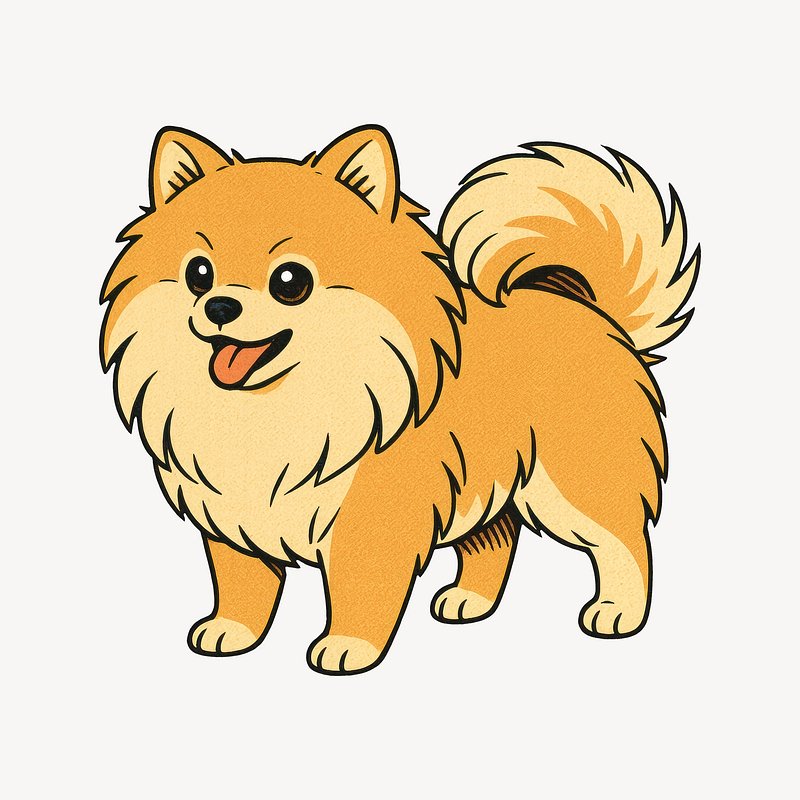 Pomeranian+drawing Texture Images | Free Photos, PNG Stickers ...