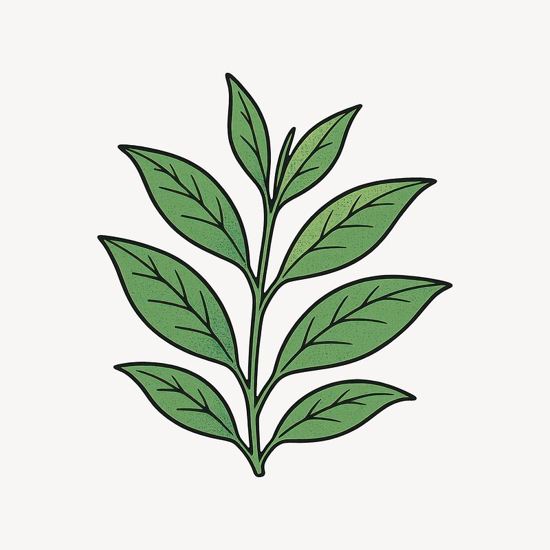 Tea Branch Leaf Images | Free Photos, PNG Stickers, Wallpapers ...