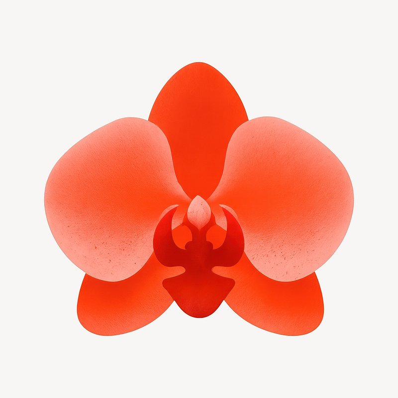 Silhouette+lighting PNG Images | Free Photos, PNG Stickers, Wallpapers ...