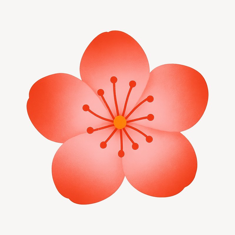 Pink Peach Backgrounds Isolated Texture Images | Free Photos, PNG ...