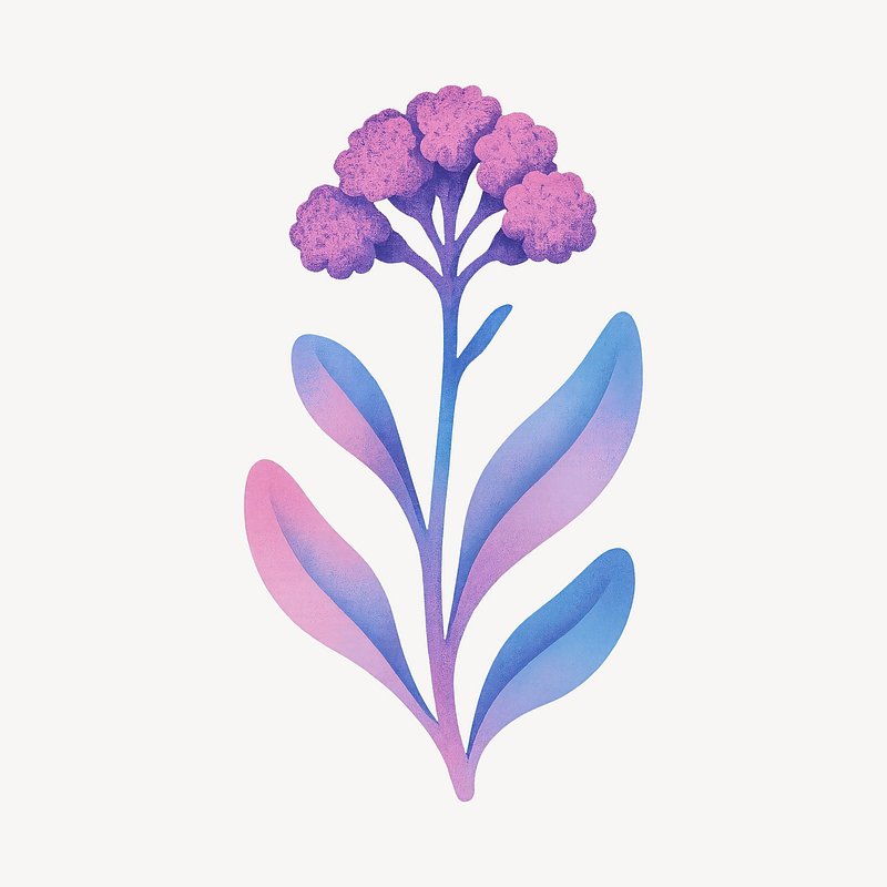 Blue/purple+dried+flower PNG Transparent Images | Free Photos, PNG ...