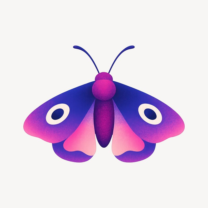 Pink+and+black+butterfly Shadow Images | Free Photos, PNG Stickers ...