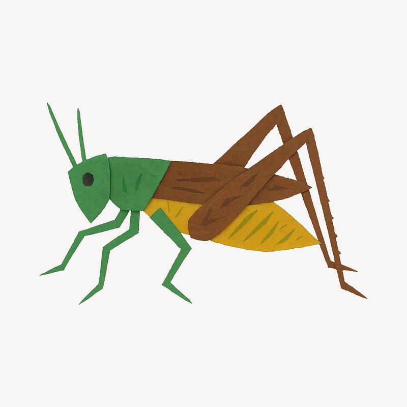 Images+of+crickets+insects Texture Images | Free Photos, PNG Stickers ...