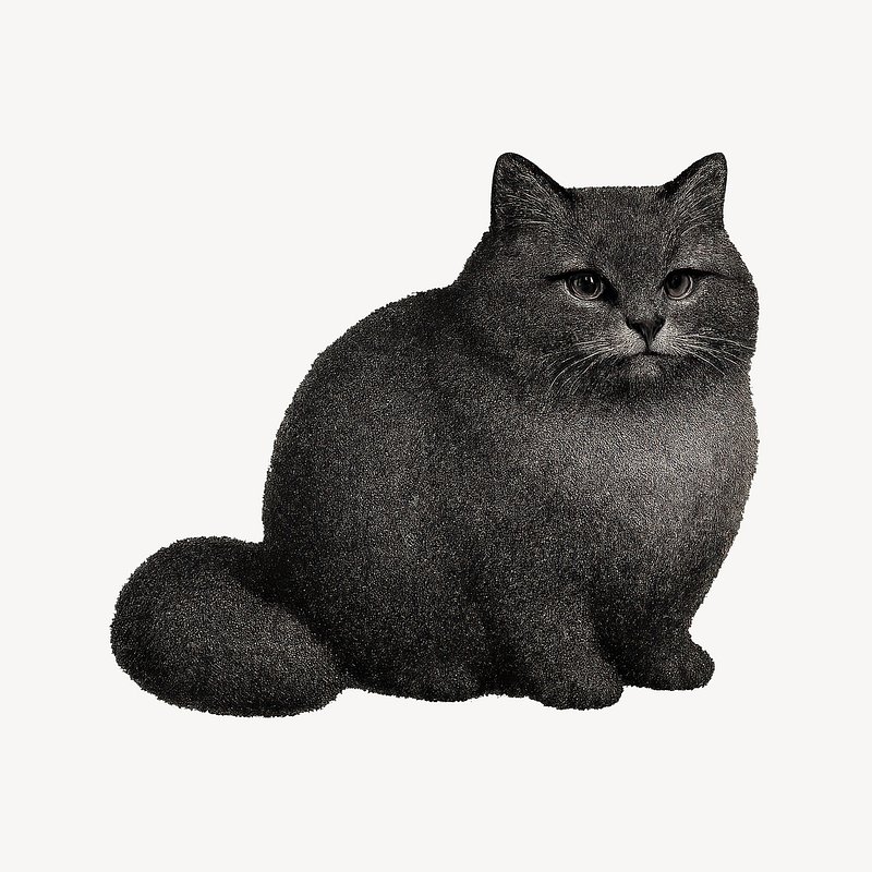 Dot+drawing Background Shadow Animal Images | Free Photos, PNG Stickers ...