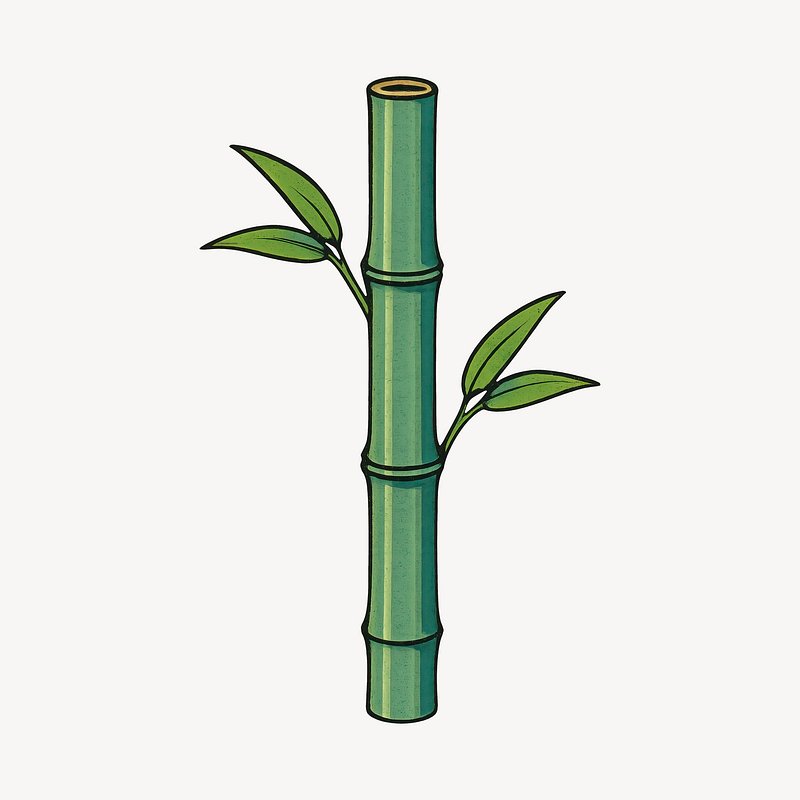 Bamboo Stalks Shadow Images | Free Photos, PNG Stickers, Wallpapers ...