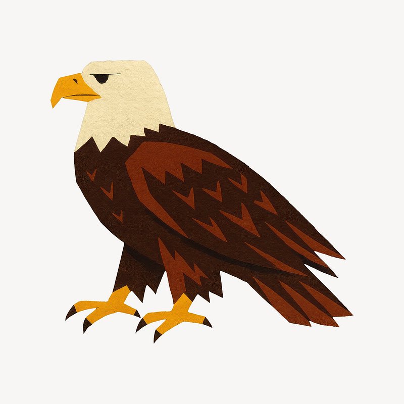 Bald+eagle Bird Images | Free Photos, PNG Stickers, Wallpapers ...