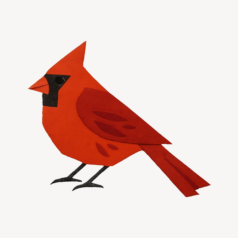 Cardinal Red Bird Aesthetic Images | Free Photos, PNG Stickers ...