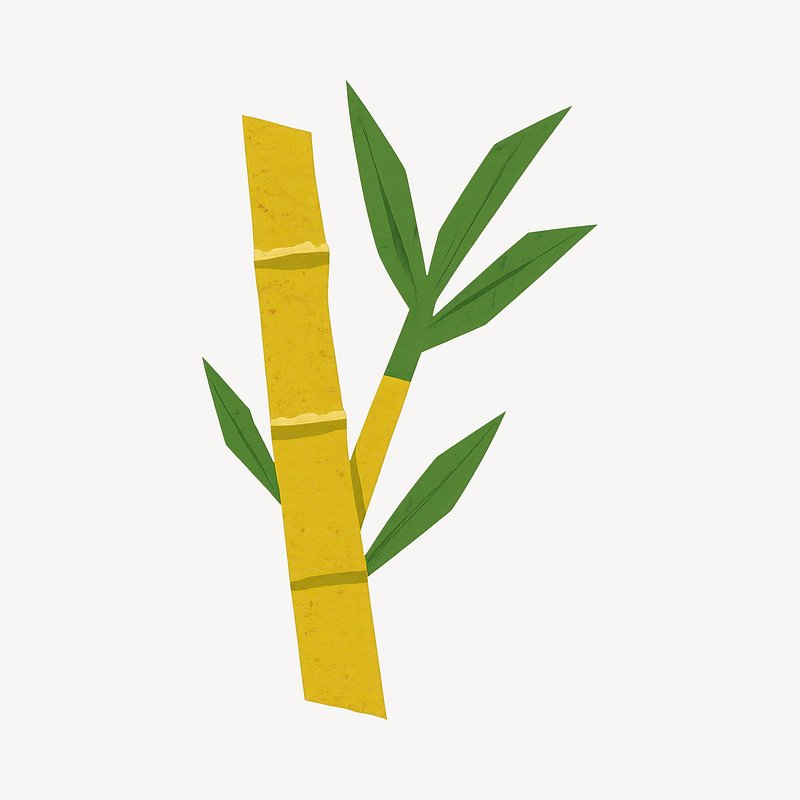 Bamboo Stalks Shadow Images | Free Photos, PNG Stickers, Wallpapers ...