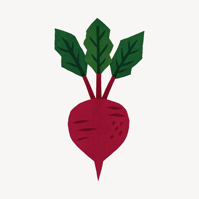 Beetroot Vegetable Paper Images | Free Photos, PNG Stickers, Wallpapers ...