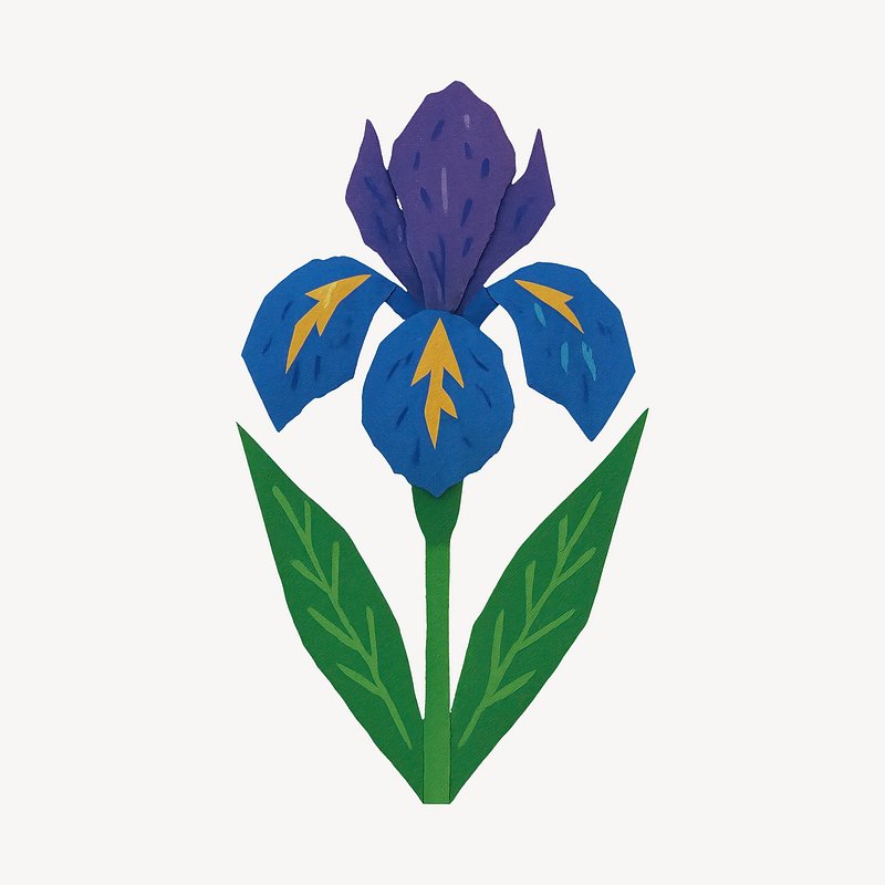 Iris Pattern Background Design Images | Free Photos, PNG Stickers ...