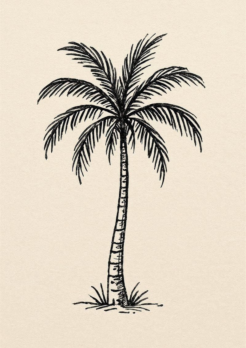 Tree Sketch Paper Background Art Texture Images | Free Photos, PNG ...