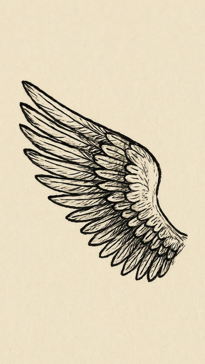 Elegant+feather+wallpaper Mobile Images | Free Photos, PNG Stickers ...