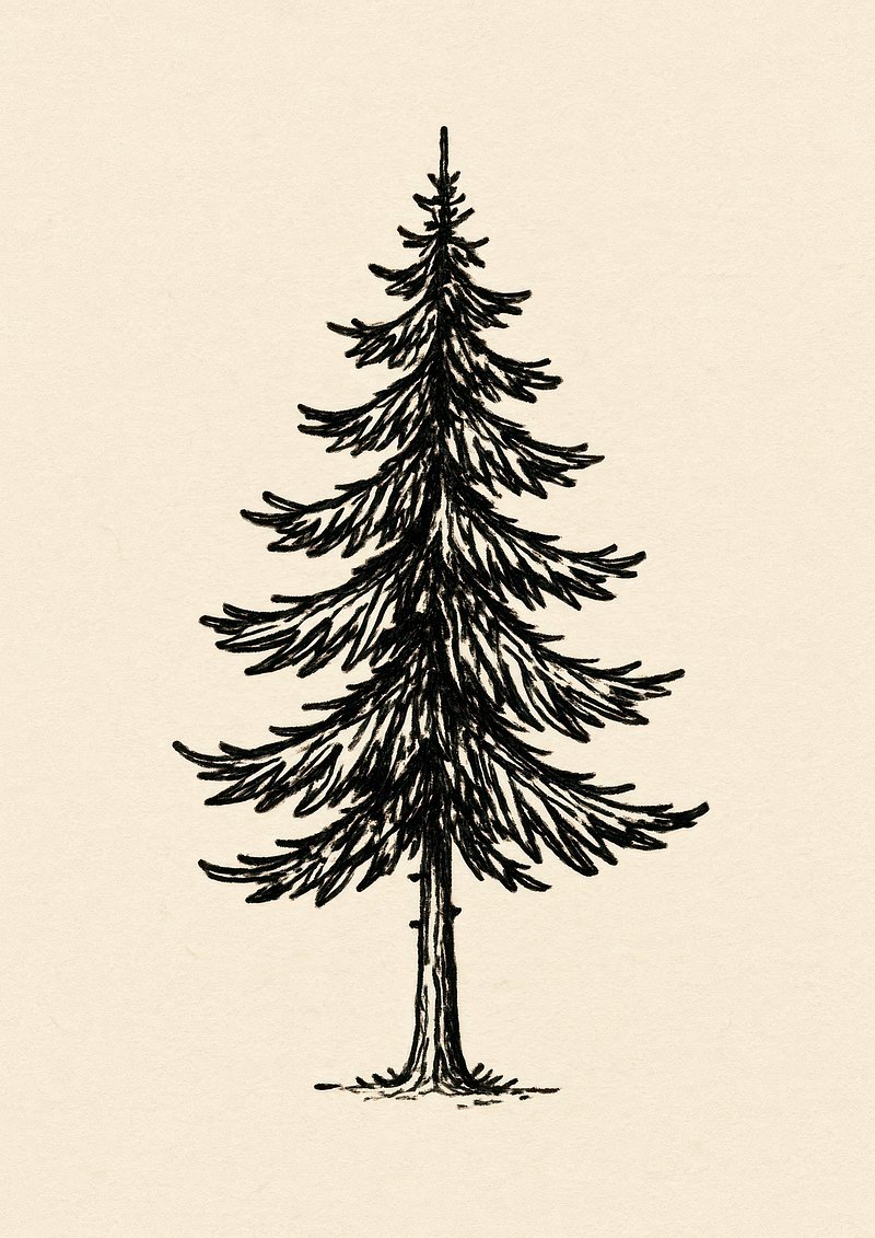 Tree Sketch Paper Background Wallpaper Images | Free Photos, PNG Stickers, Wallpapers ...