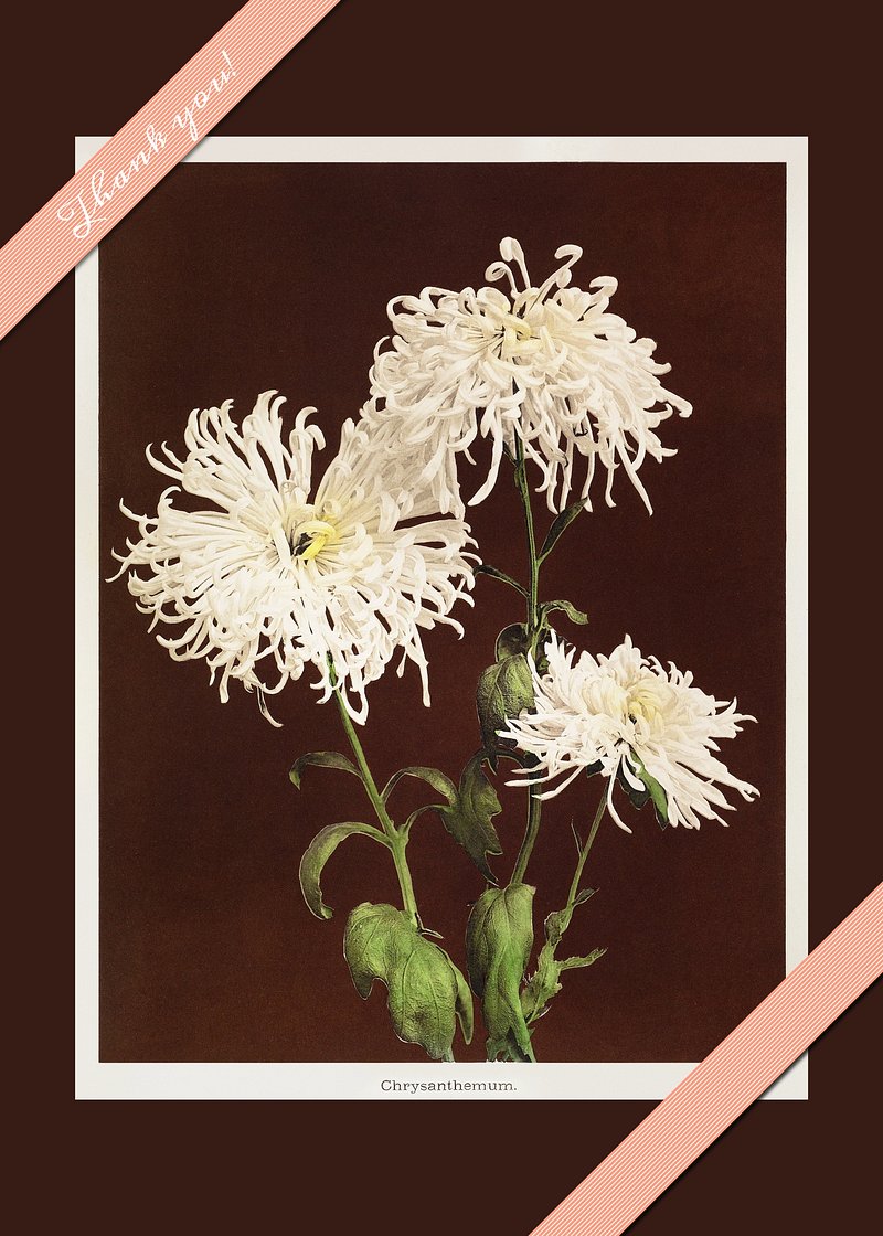 Vintage+japanese TIF Images | Free Photos, PNG Stickers, Wallpapers ...