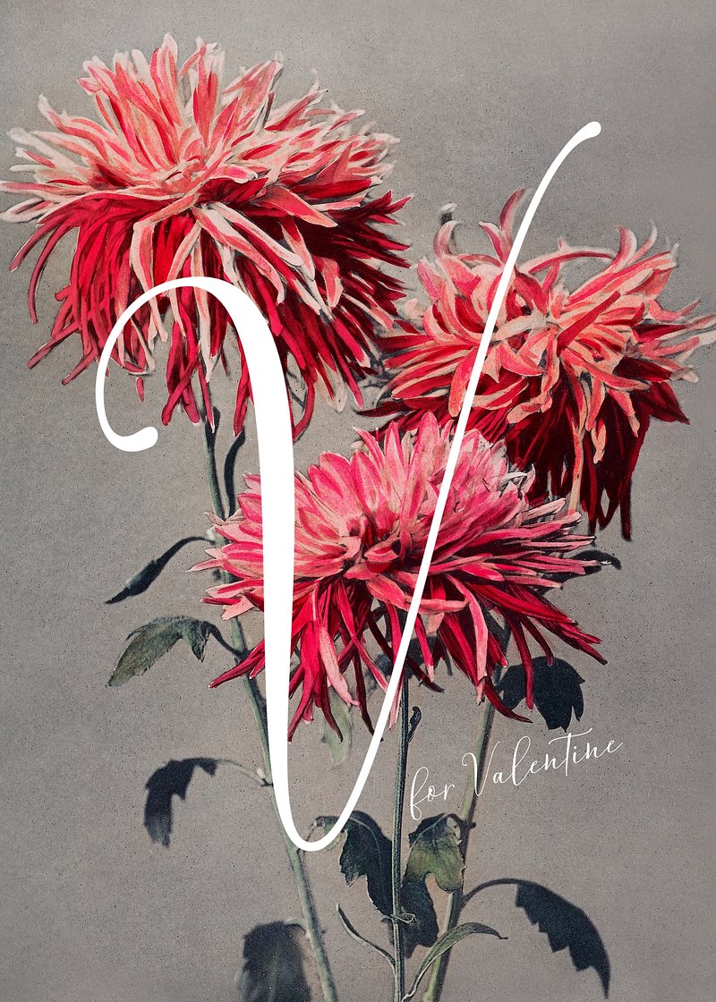 Images+v Vintage Images | Free Photos, PNG Stickers, Wallpapers ...